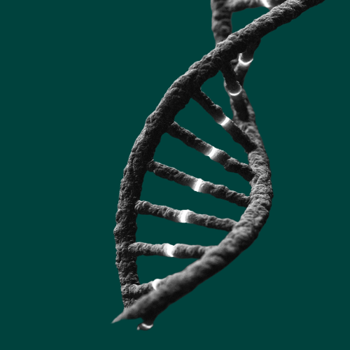 Sperm DNA Fragmentation Index (DFI) - Dr. Chaitra | Fertility Expert